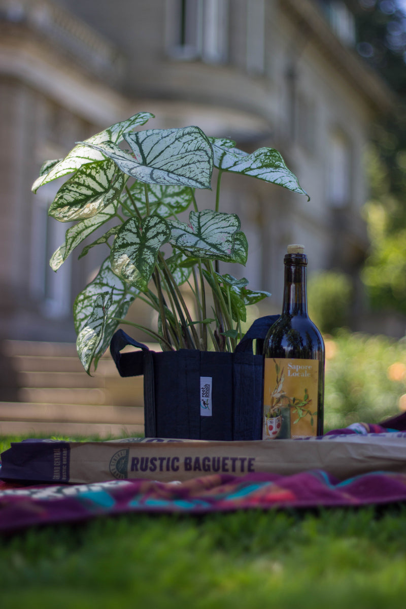 Boxer Line - Root Pouch - Brown – sustainablygrow